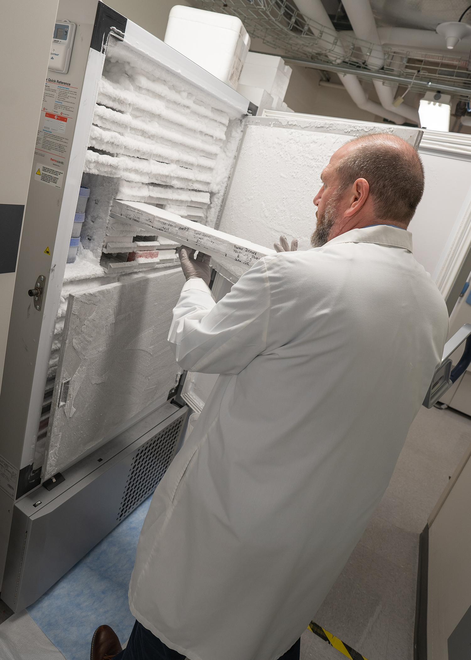 Research reveals how aging changes the course of Multiple Sclerosis and ...